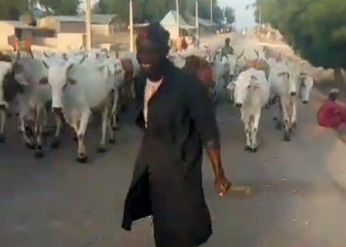 Har yanzu Lakurawa na cigaba da zama a Kebbi - Manhaja - Blueprint ...