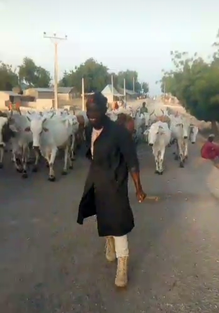 Har yanzu Lakurawa na cigaba da zama a Kebbi - Manhaja - Blueprint ...